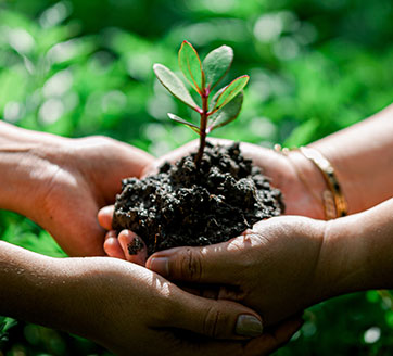 Our Corporate Social Responsibility (CSR) | 247.ai